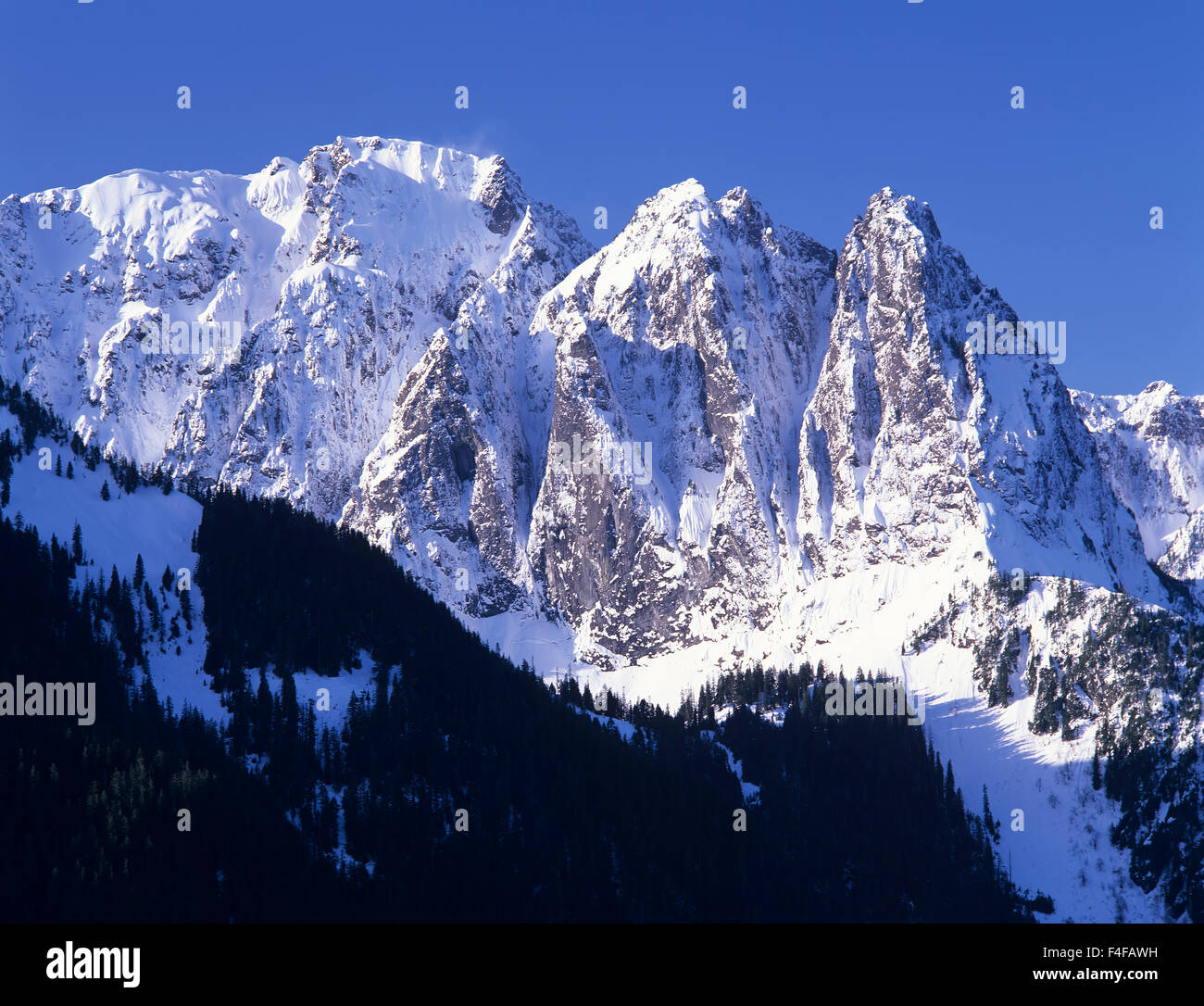Mount Index