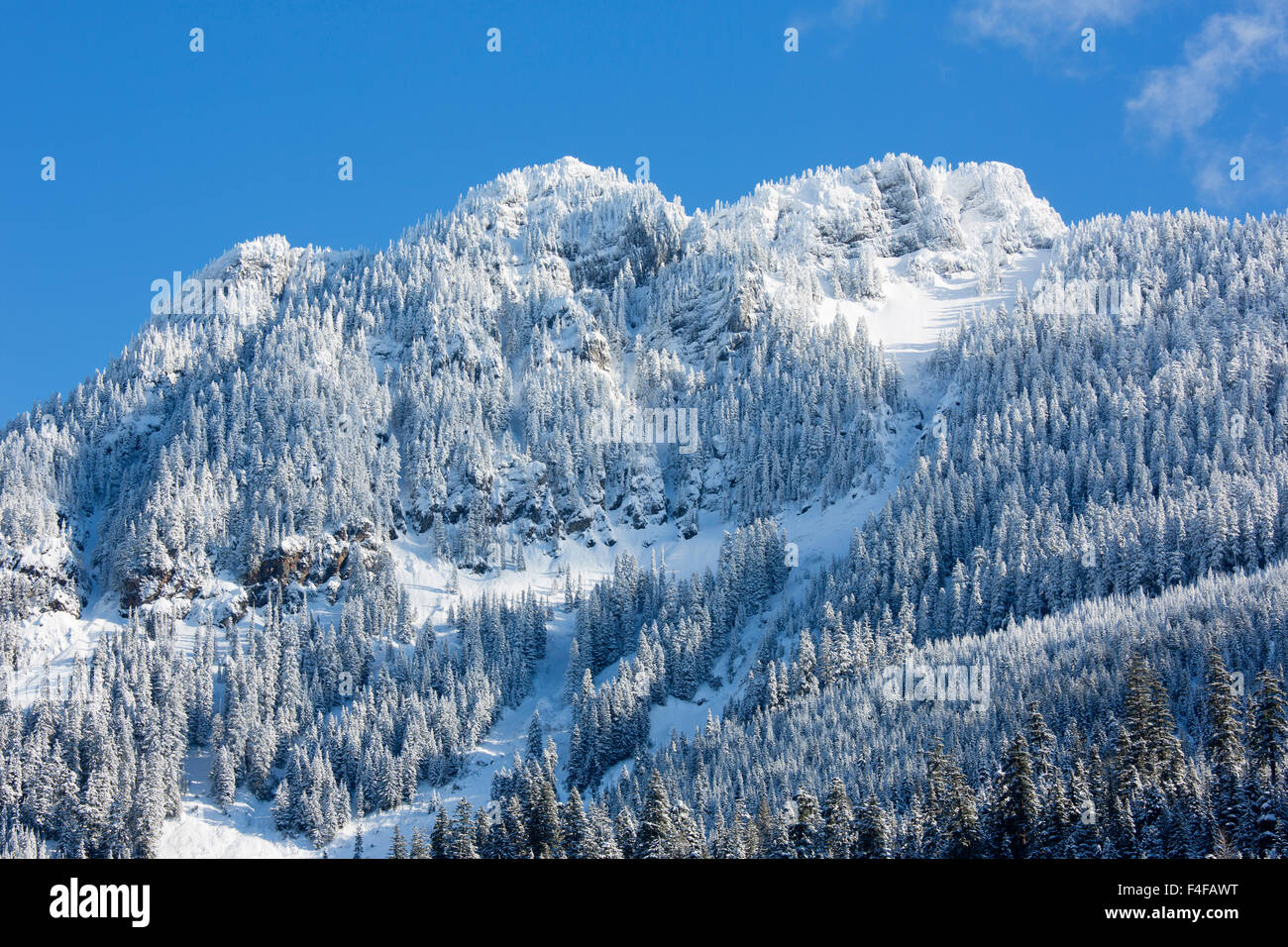 USA, Washington, Mount Baker Snoqualmie National Forest, Rampart Ridge ...