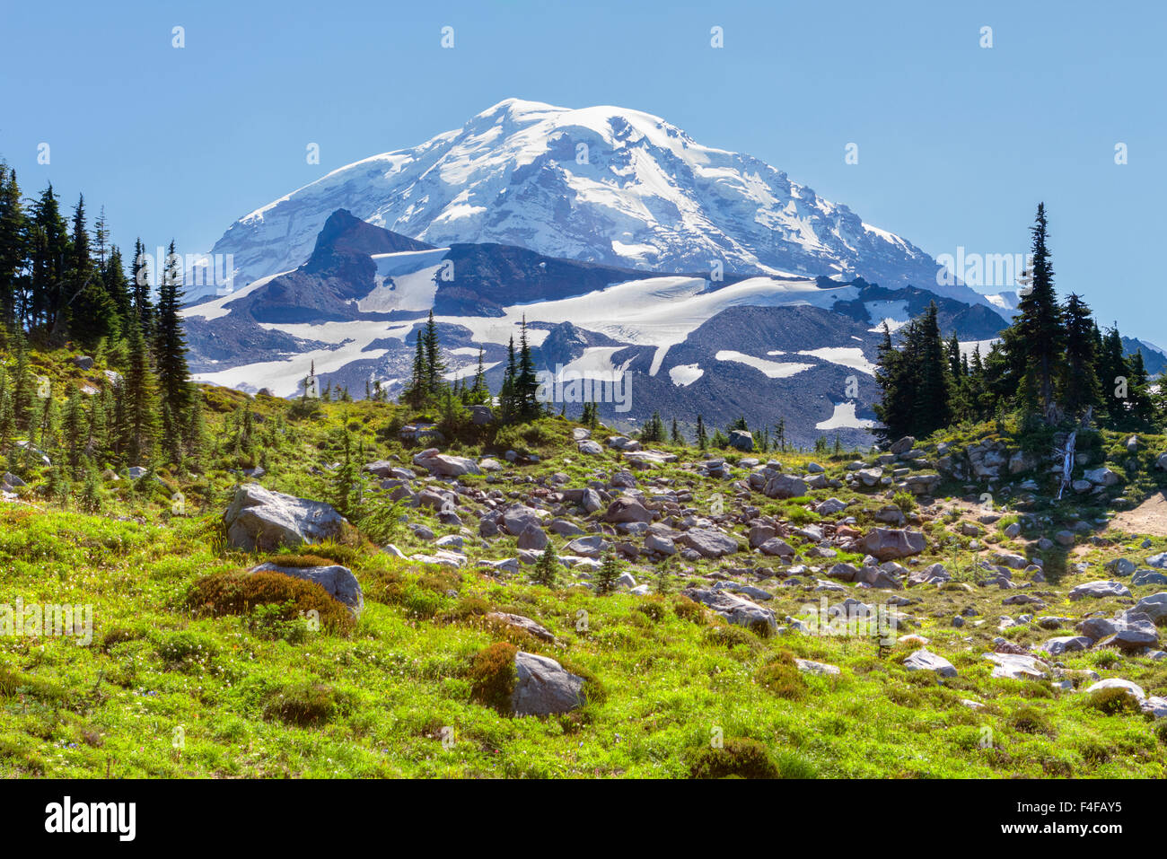 USA, Washington, Mount Rainier National Park, Mount Rainier, north side ...
