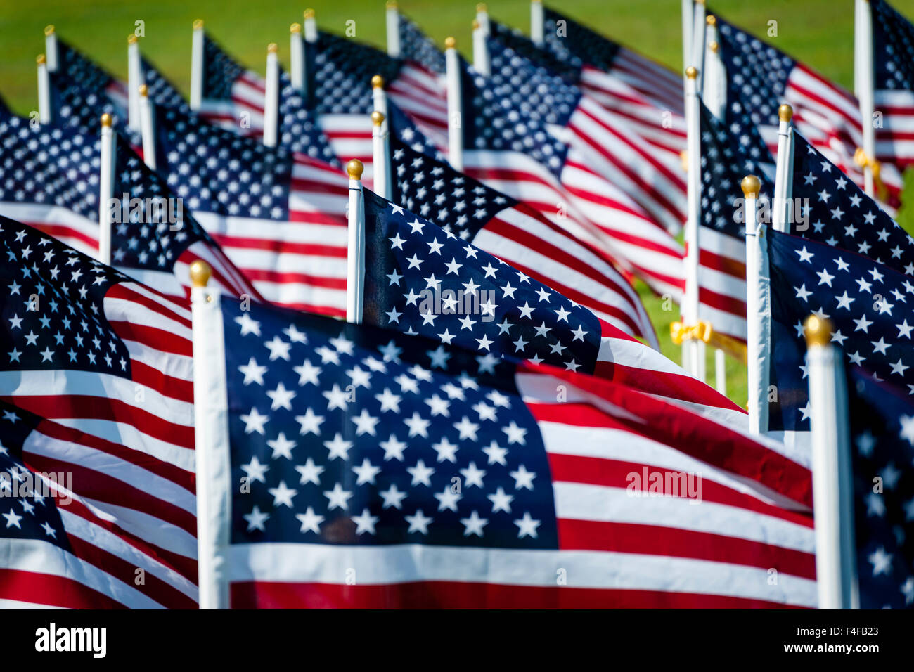 USA, Washington, Aberdeen. 400 flags waving proudly in a field visible ...