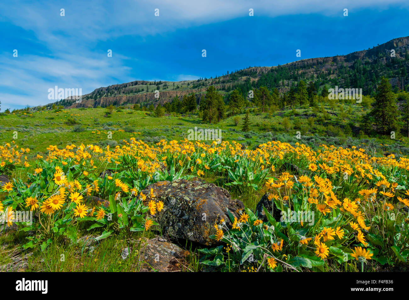 Wenatchee orchard hi-res stock photography and images - Alamy