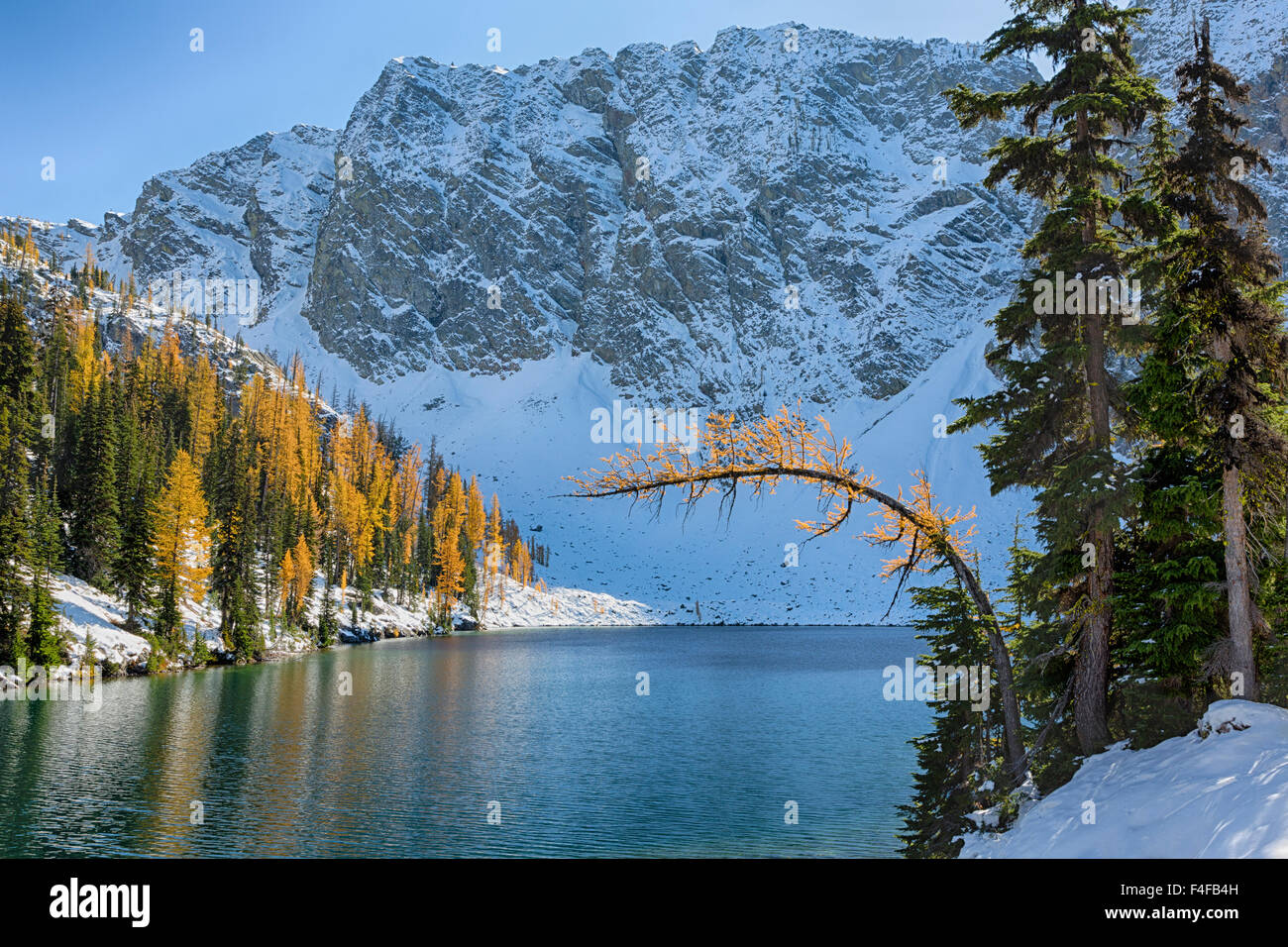 USA, Washington, Wenatchee National Forest, Blue Lake with golden larch ...
