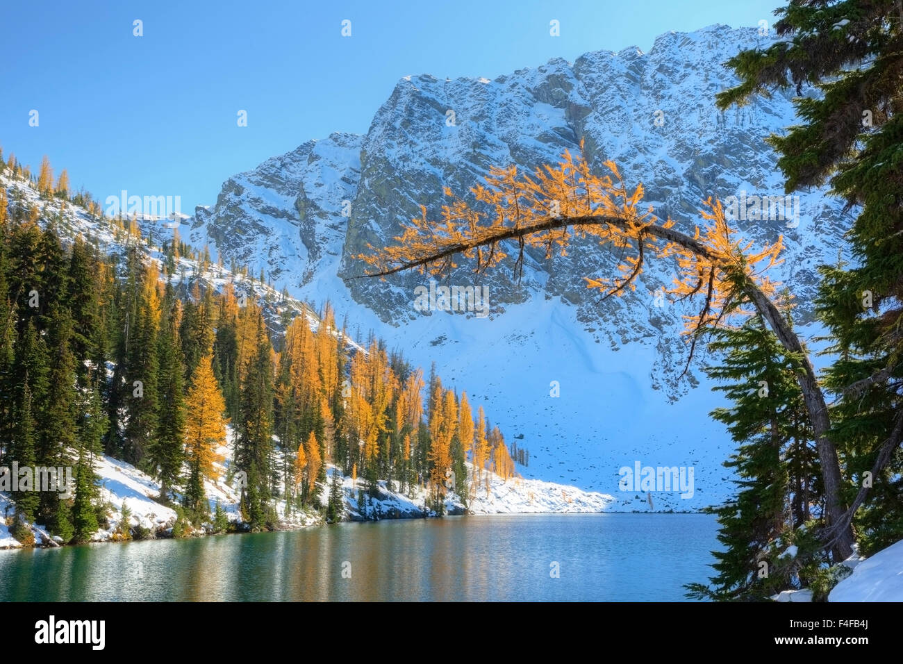 USA, Washington, Wenatchee National Forest, Blue Lake with golden larch ...