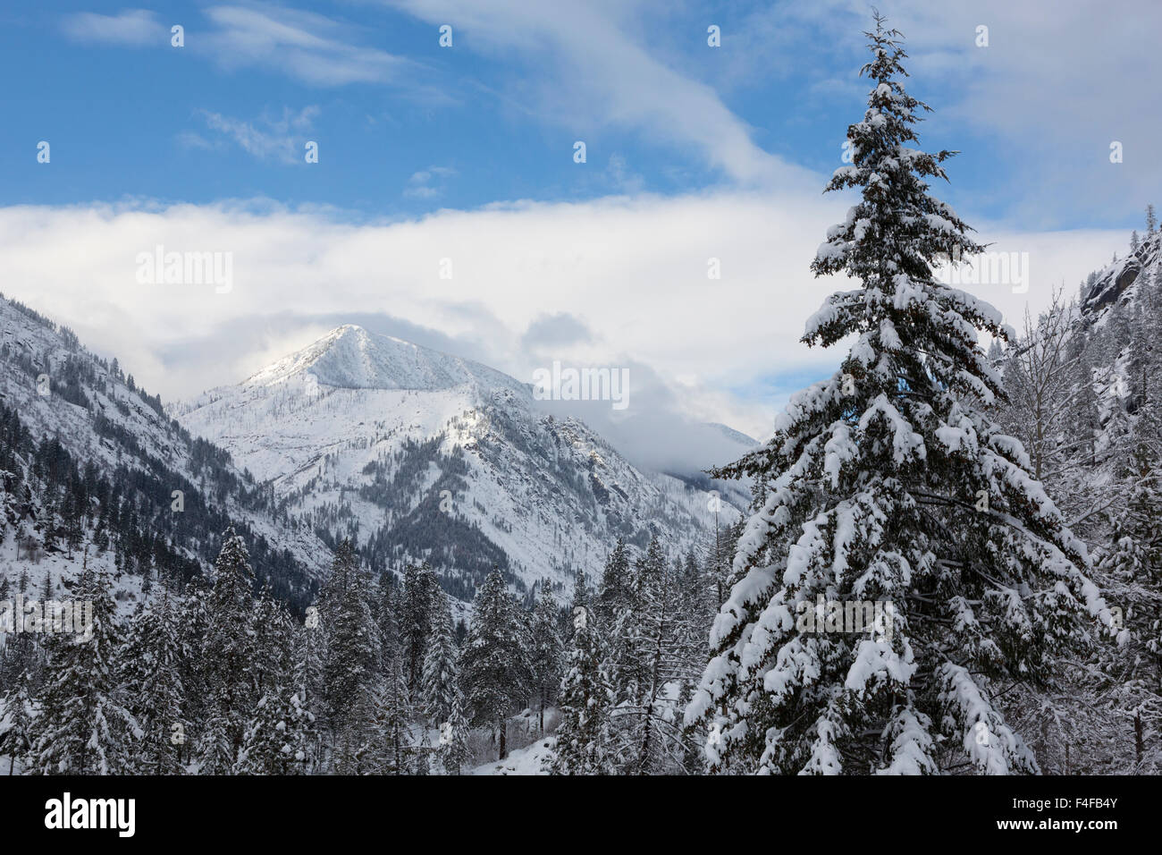 USA, Washington, Wenatchee National Forest, Cashmere Mountain, from ...