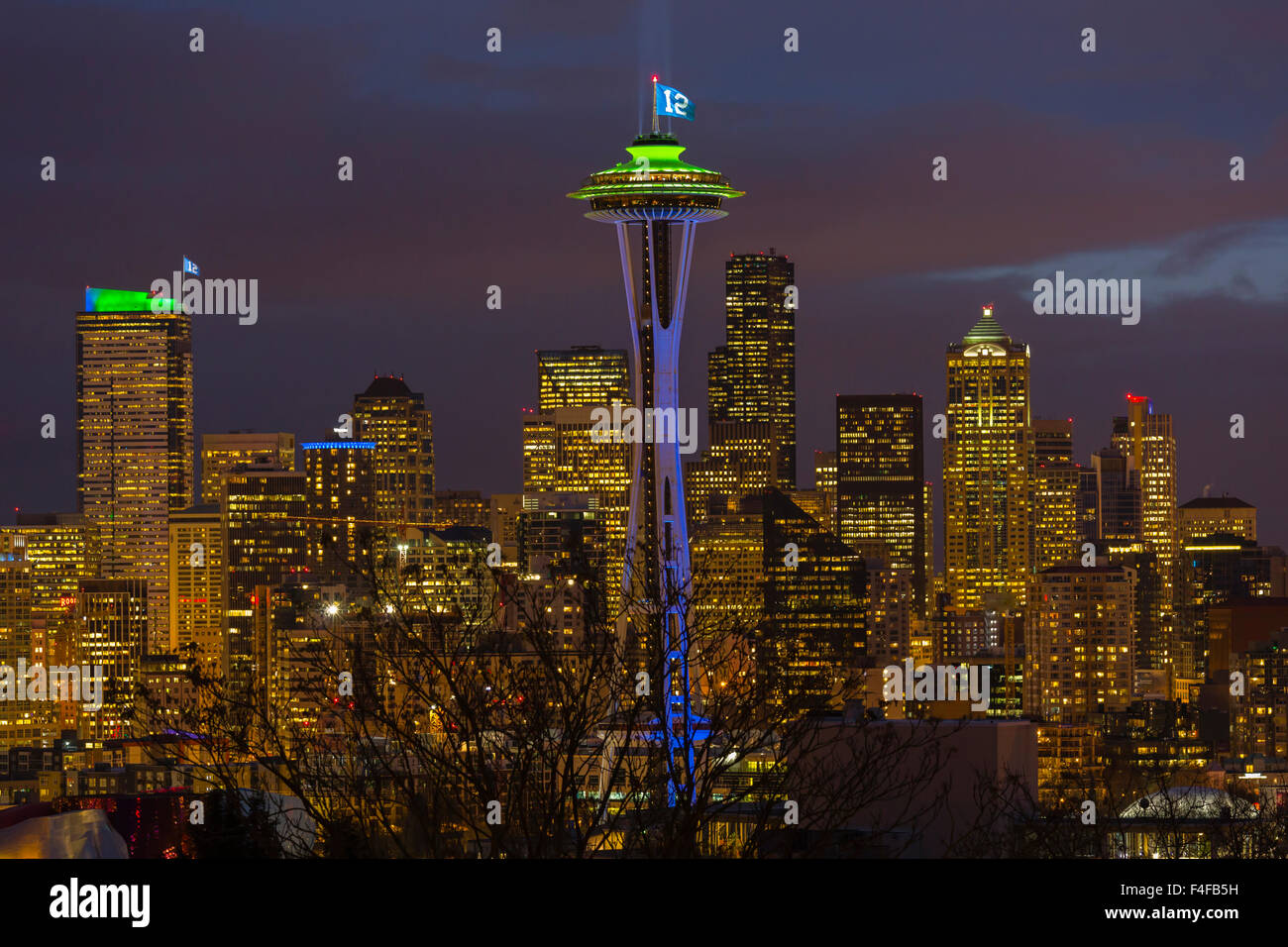 Seahawks 12th Man Space Needle