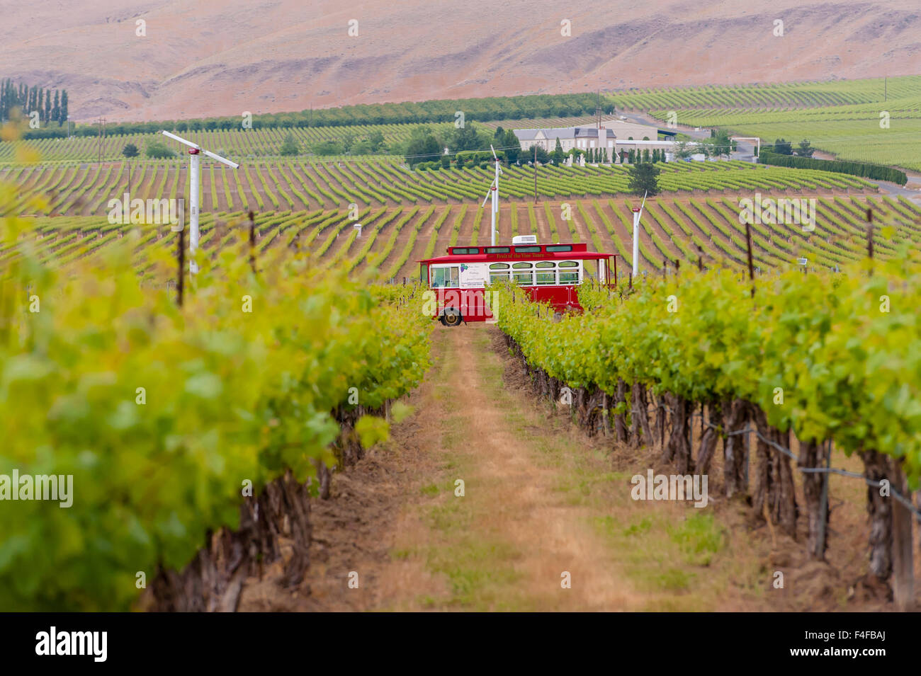 USA, Washington, Yakima Valley. Trolley car offers tour of vineyard on ...