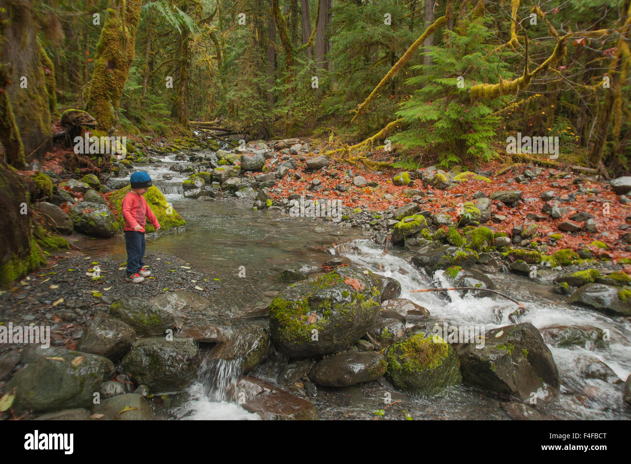 Washington, Olympic Peninsula, southeast Olympic National Park ...