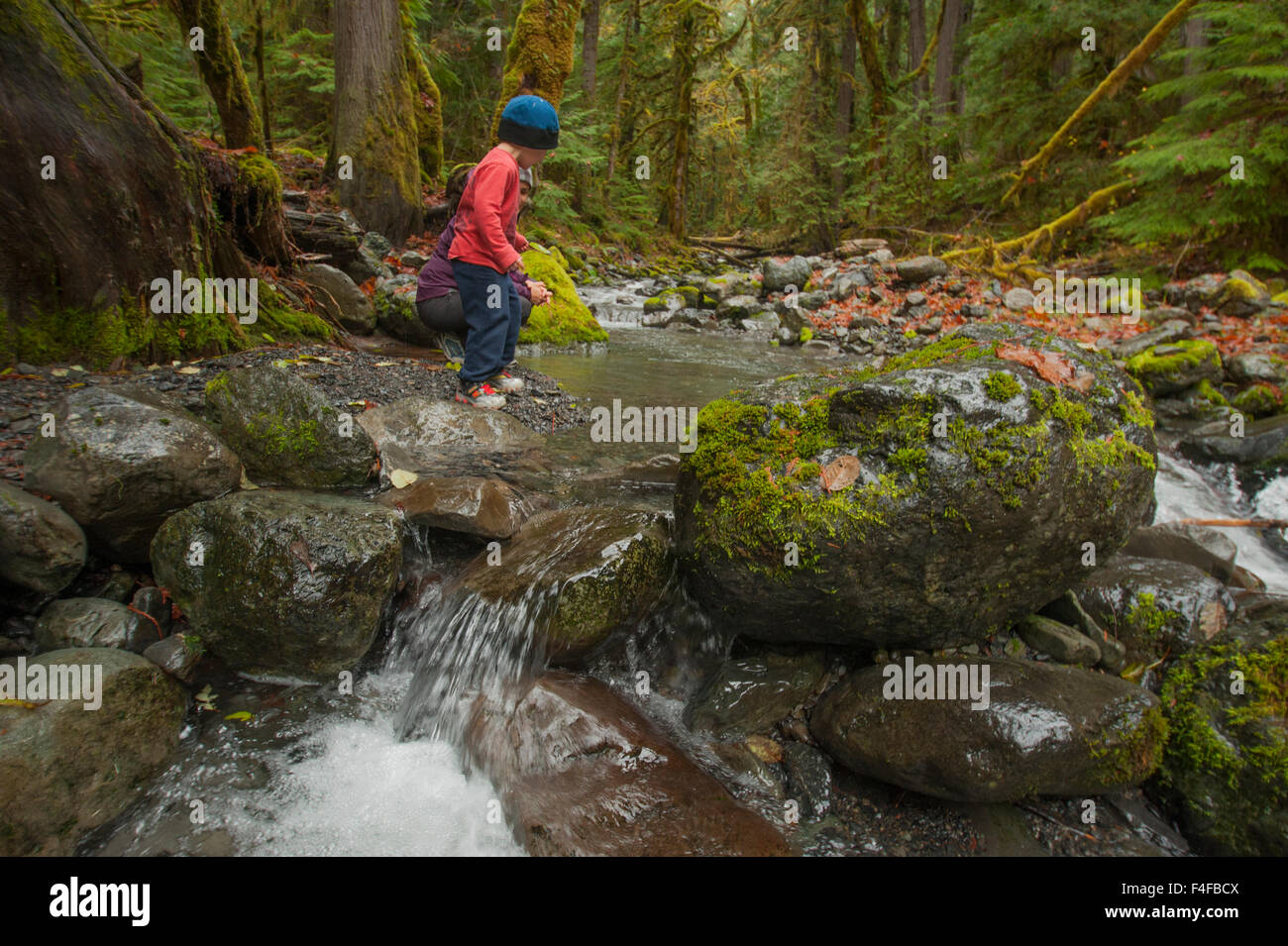 Washington, Olympic Peninsula, southeast Olympic National Park ...