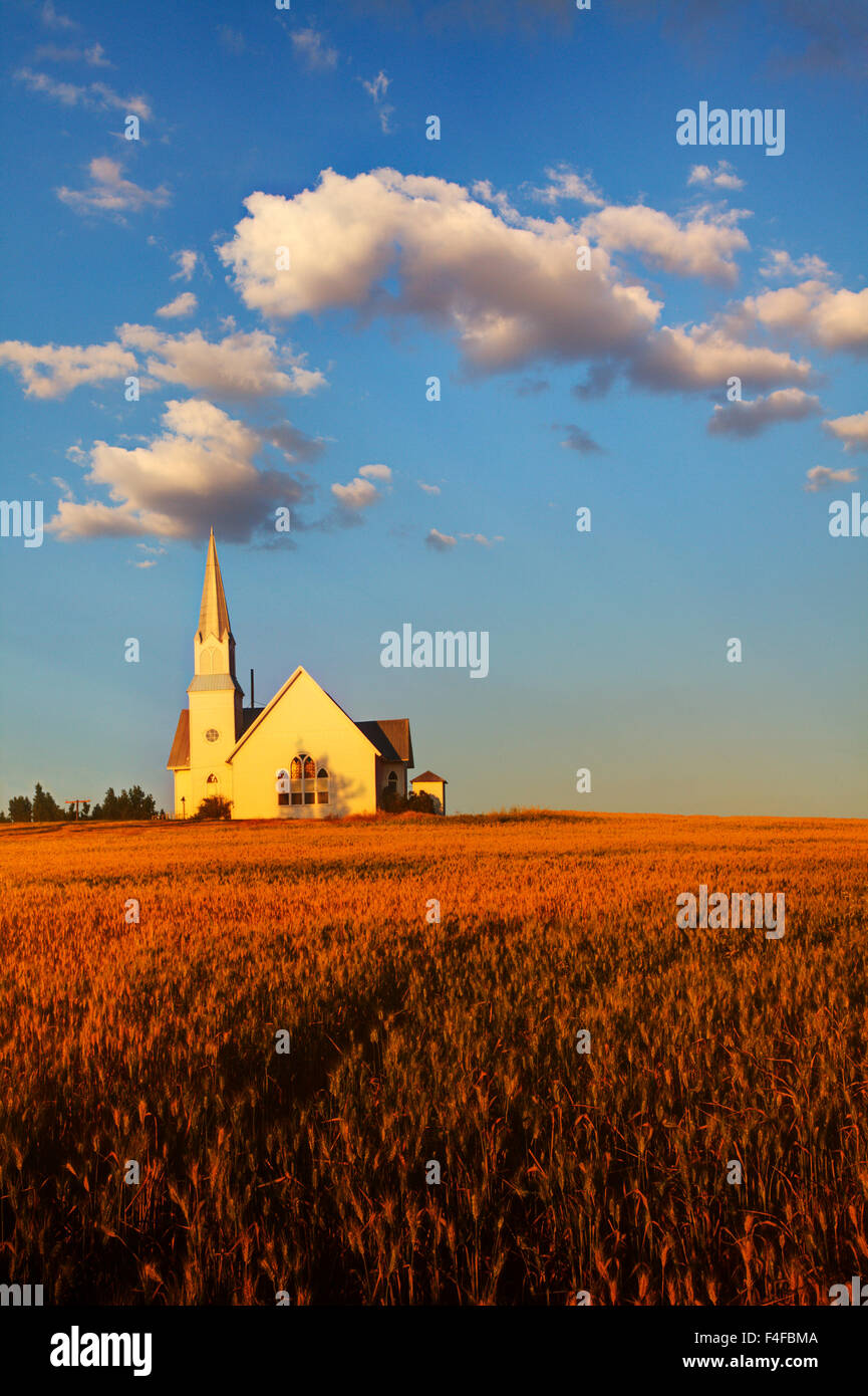 USA, Washington State. Harvest time near the Rocklyn Church Stock Photo ...