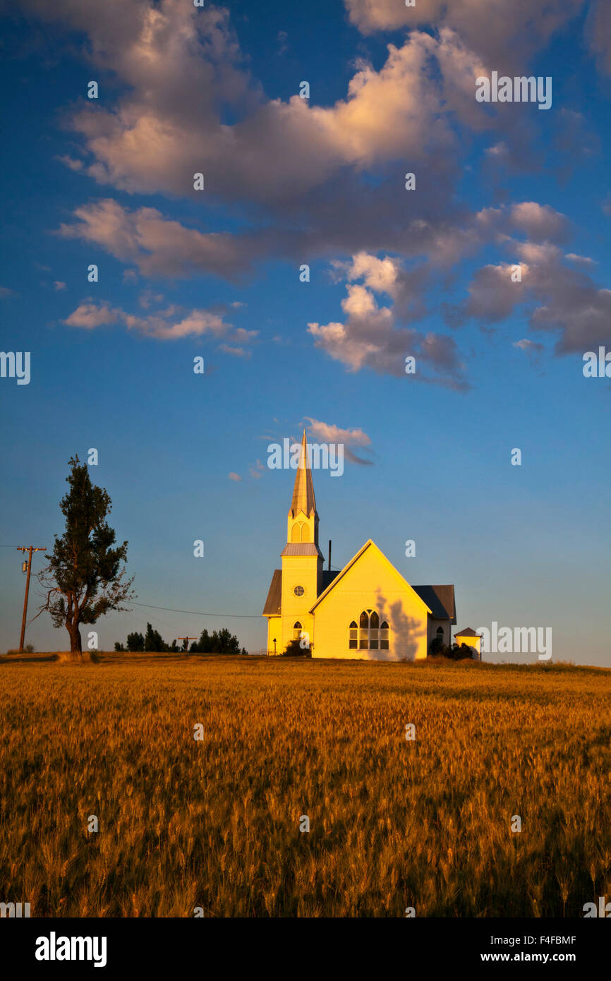 USA, Washington State. Harvest time near the Rocklyn Church Stock Photo ...