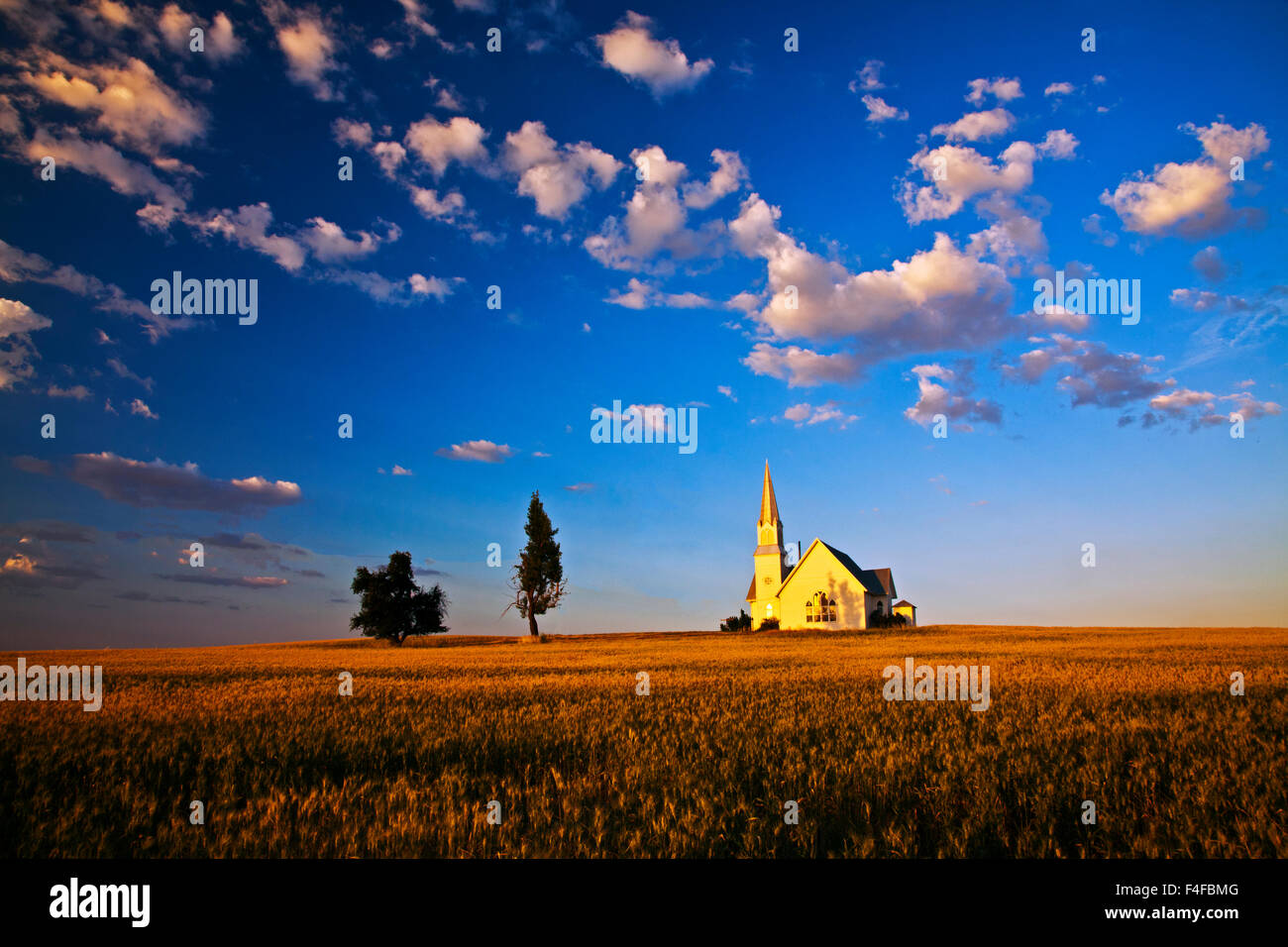 Terry christian the farm hi-res stock photography and images - Alamy