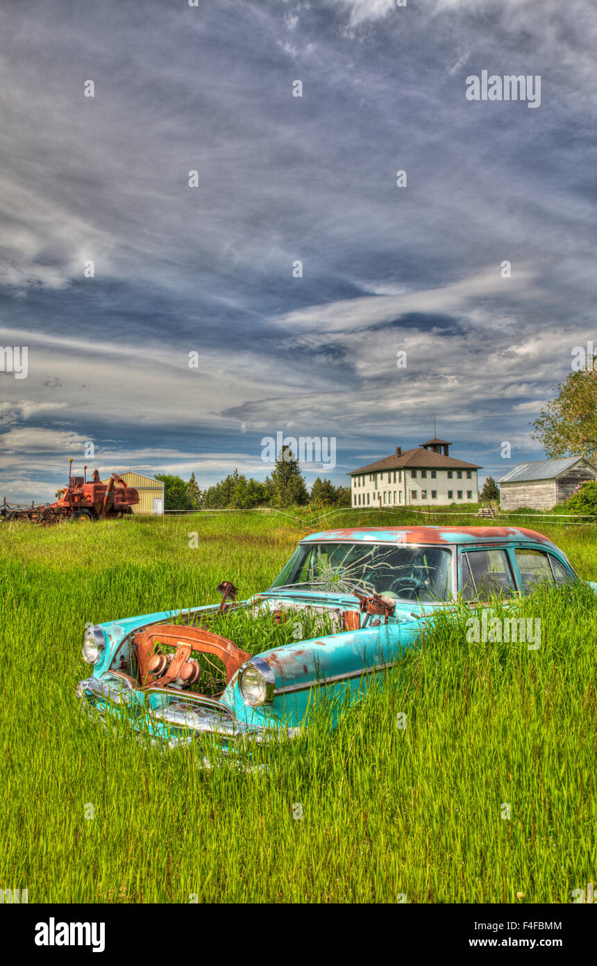 USA, Washington State. Old, abandoned car surrounded by green grass ...