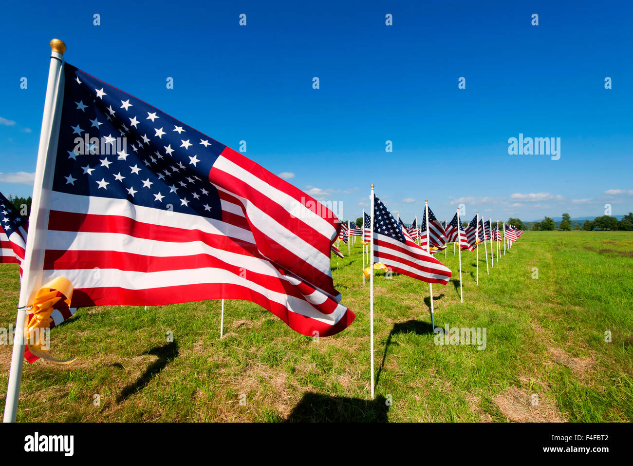USA, Washington, Aberdeen. A display of 400 American flags stands in a ...