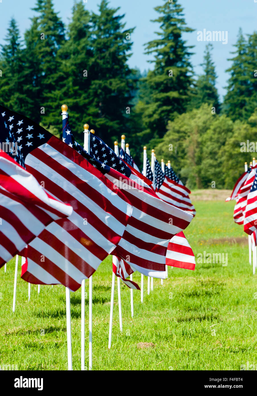 USA, Washington, Aberdeen. 400 flags waving proudly in a field visible ...