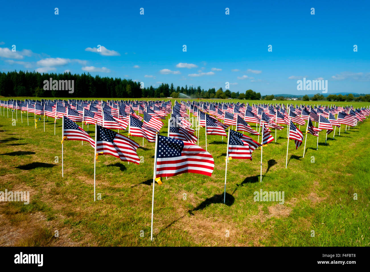 USA, Washington, Aberdeen. 400 flags waving proudly in a field visible ...