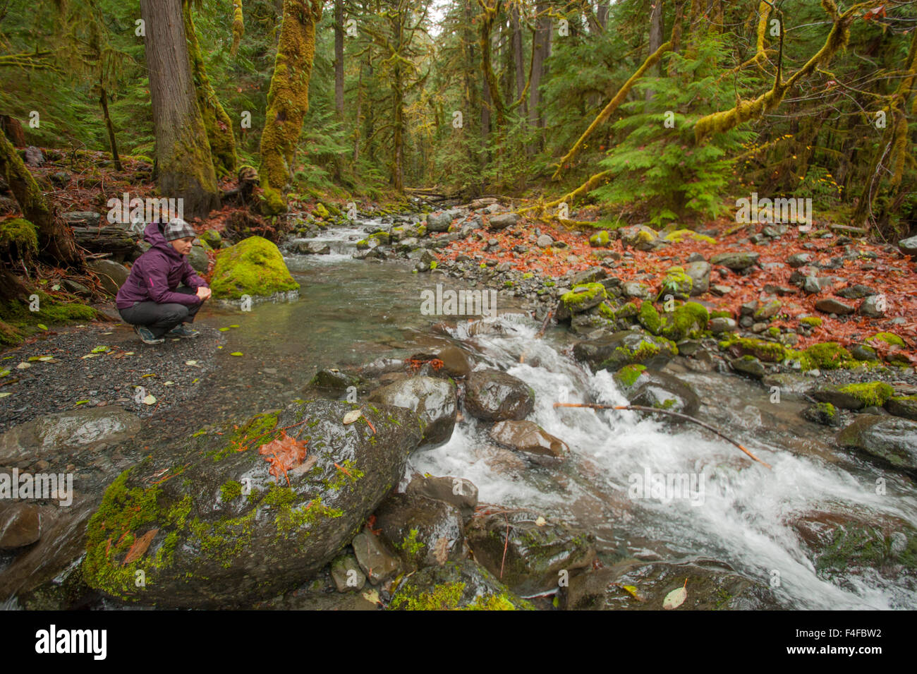 Washington, Olympic Peninsula, southeast Olympic National Park ...