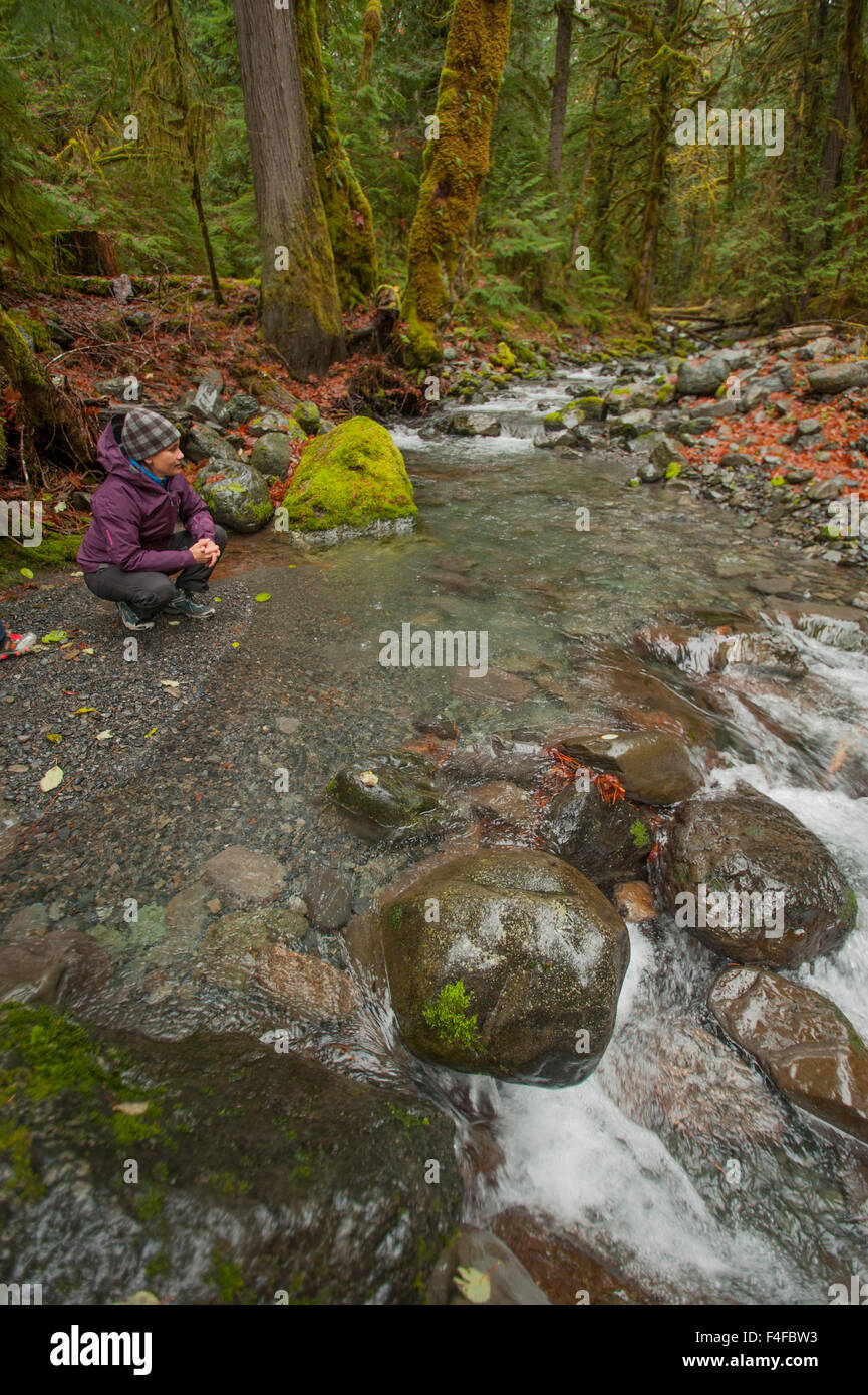 Washington, Olympic Peninsula, southeast Olympic National Park ...