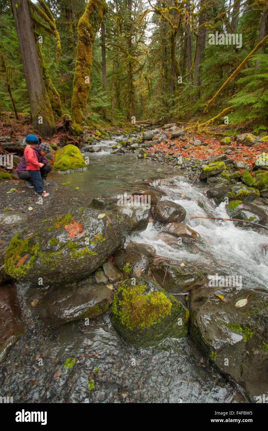 Washington, Olympic Peninsula, southeast Olympic National Park ...