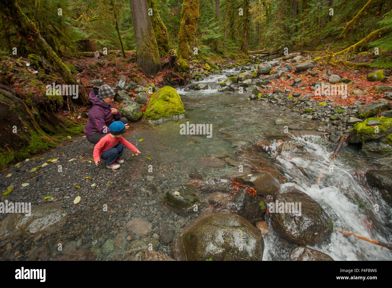 Washington, Olympic Peninsula, southeast Olympic National Park ...