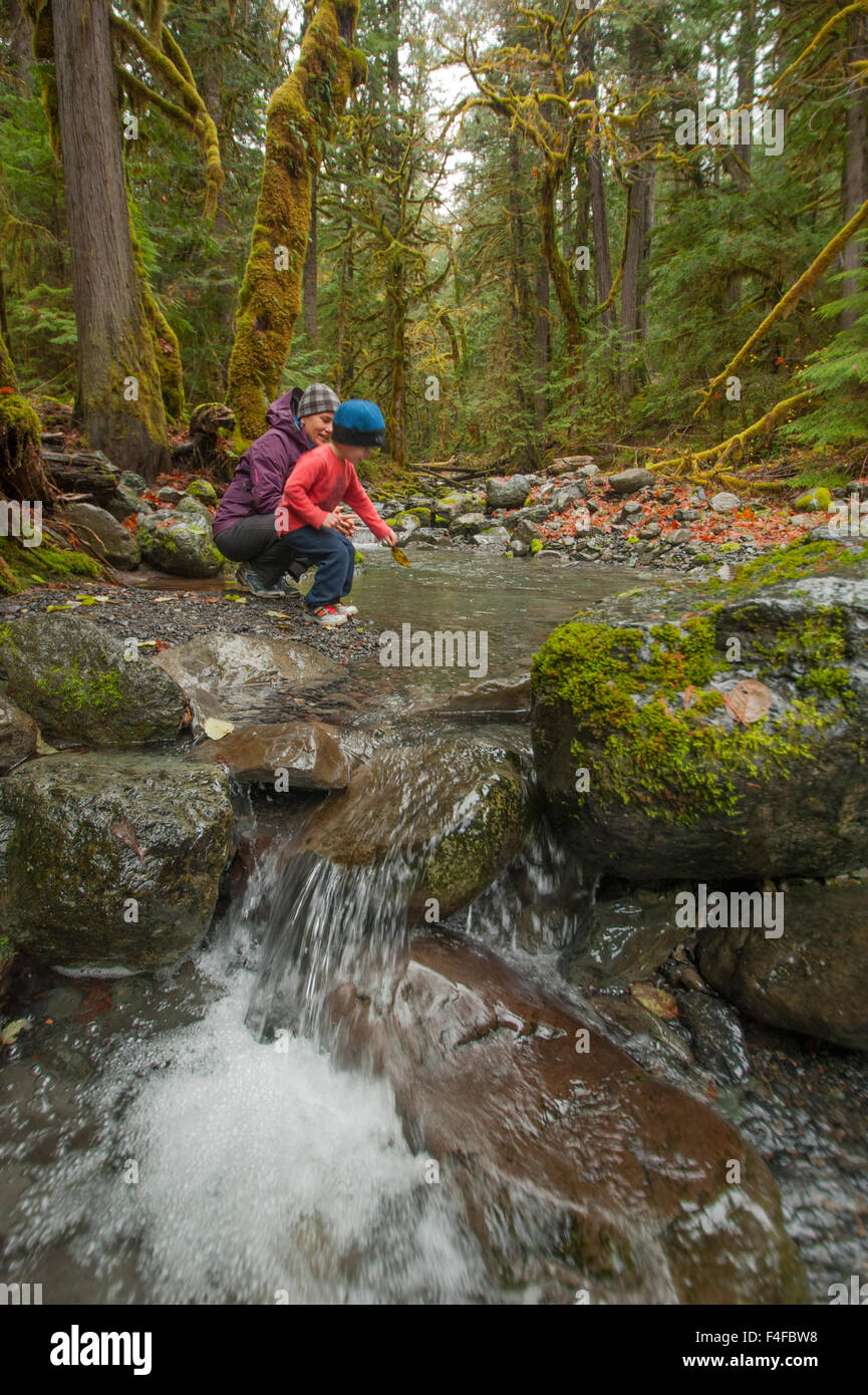 Washington, Olympic Peninsula, southeast Olympic National Park ...