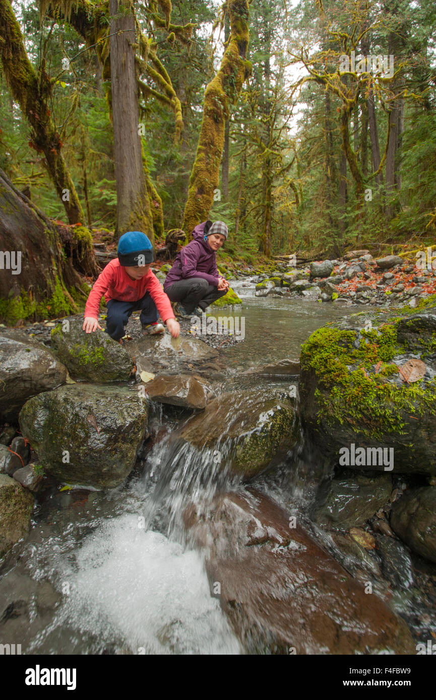Washington, Olympic Peninsula, southeast Olympic National Park ...