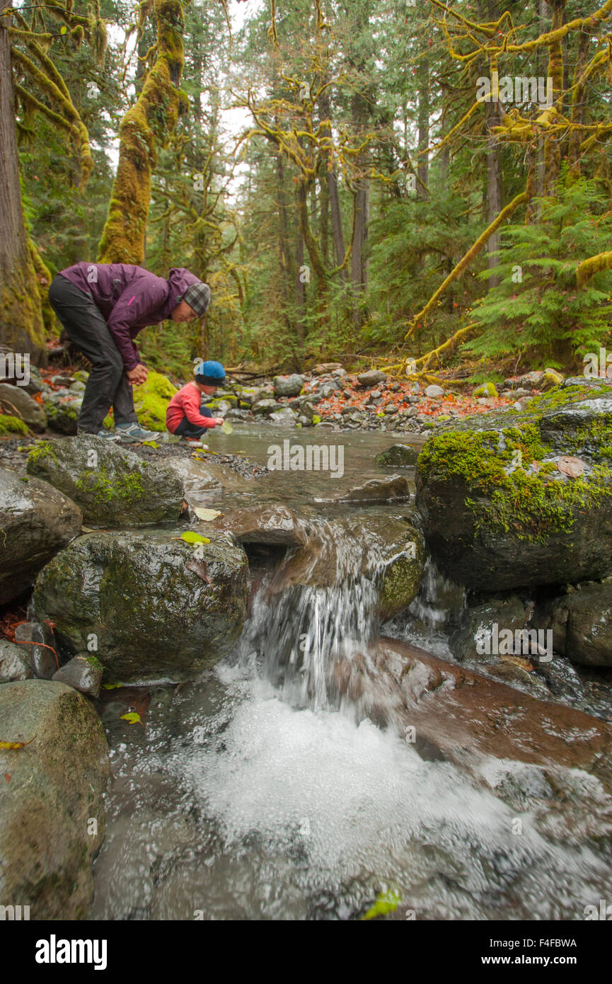 Washington, Olympic Peninsula, southeast Olympic National Park ...