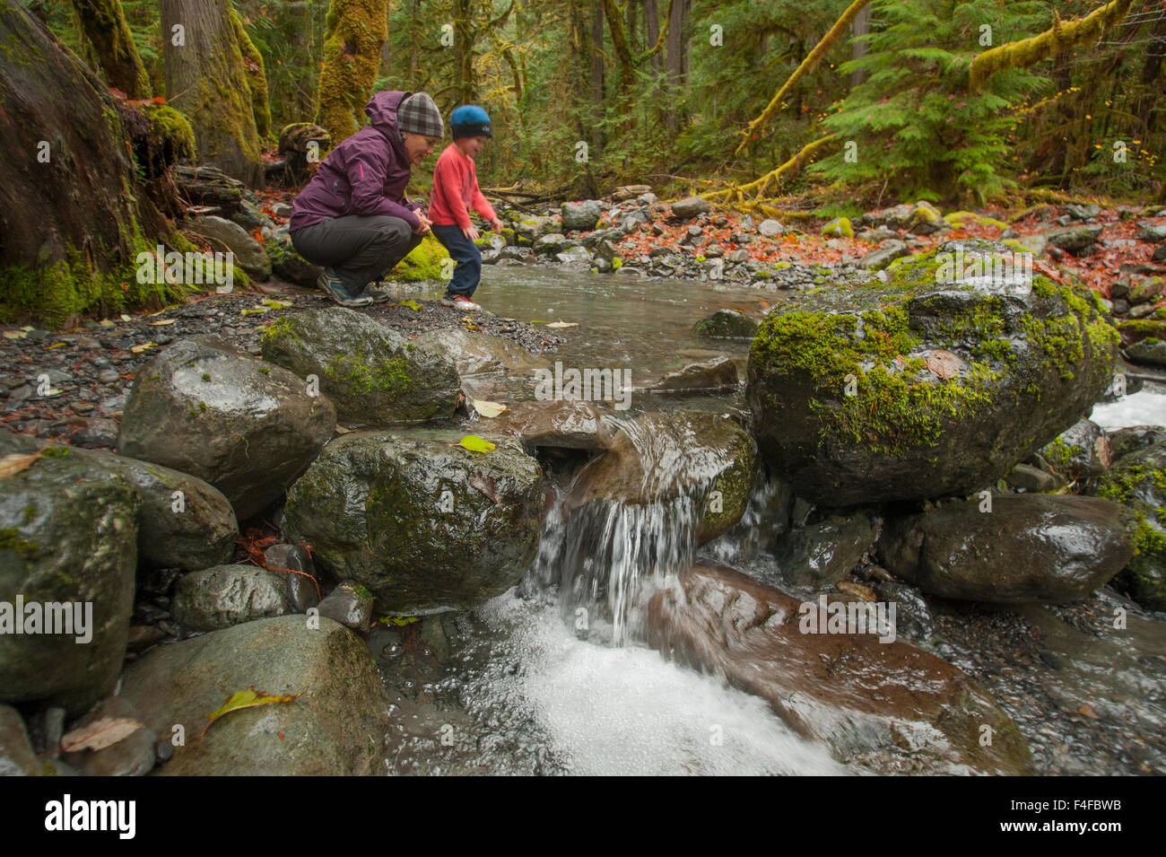 Washington, Olympic Peninsula, southeast Olympic National Park ...