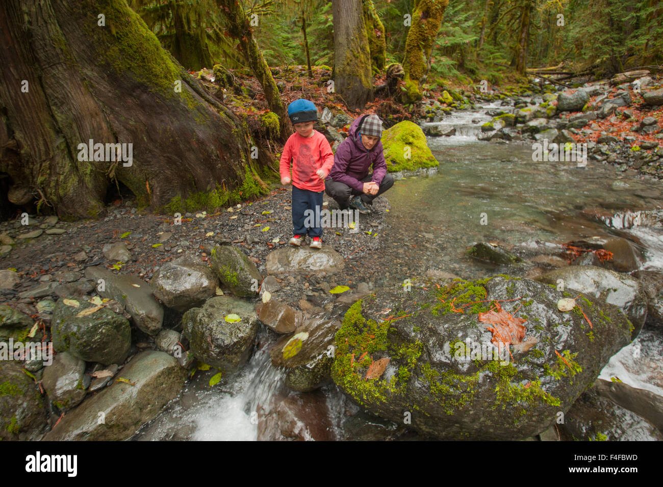 Washington, Olympic Peninsula, southeast Olympic National Park ...
