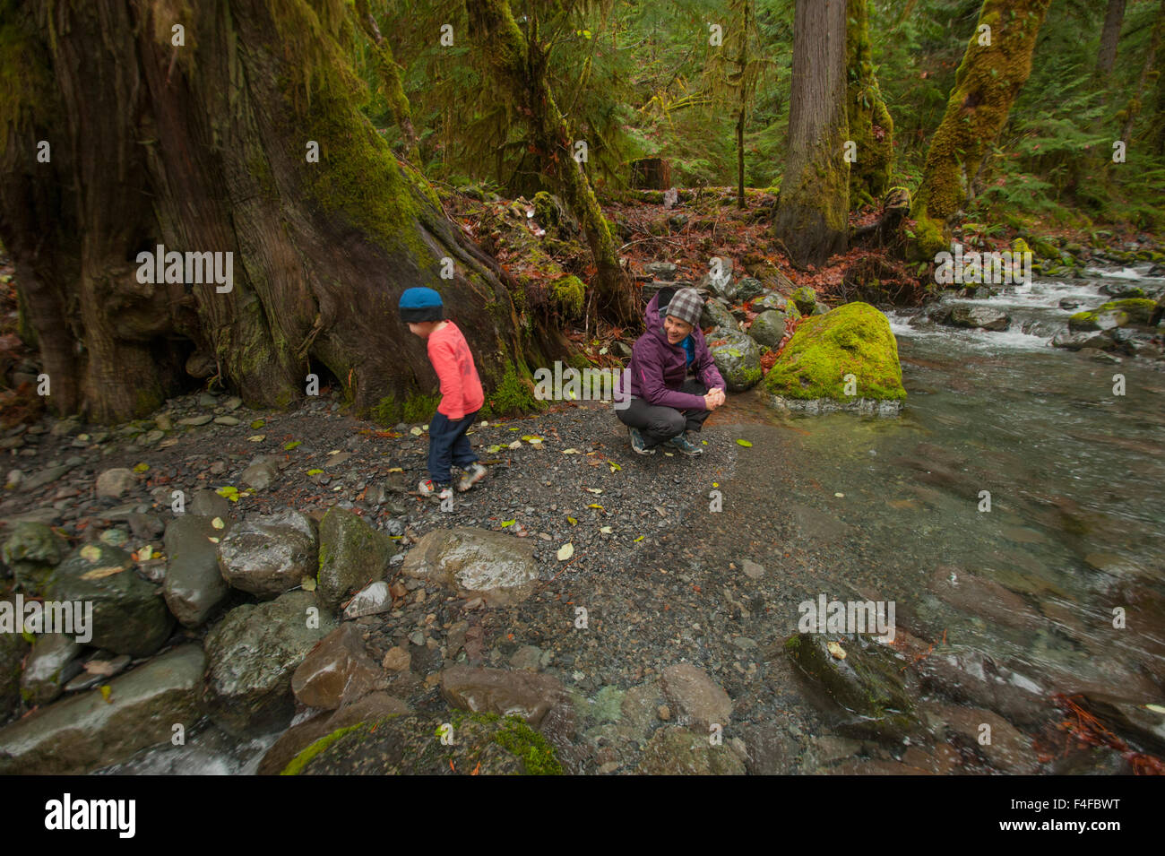 Washington, Olympic Peninsula, southeast Olympic National Park ...