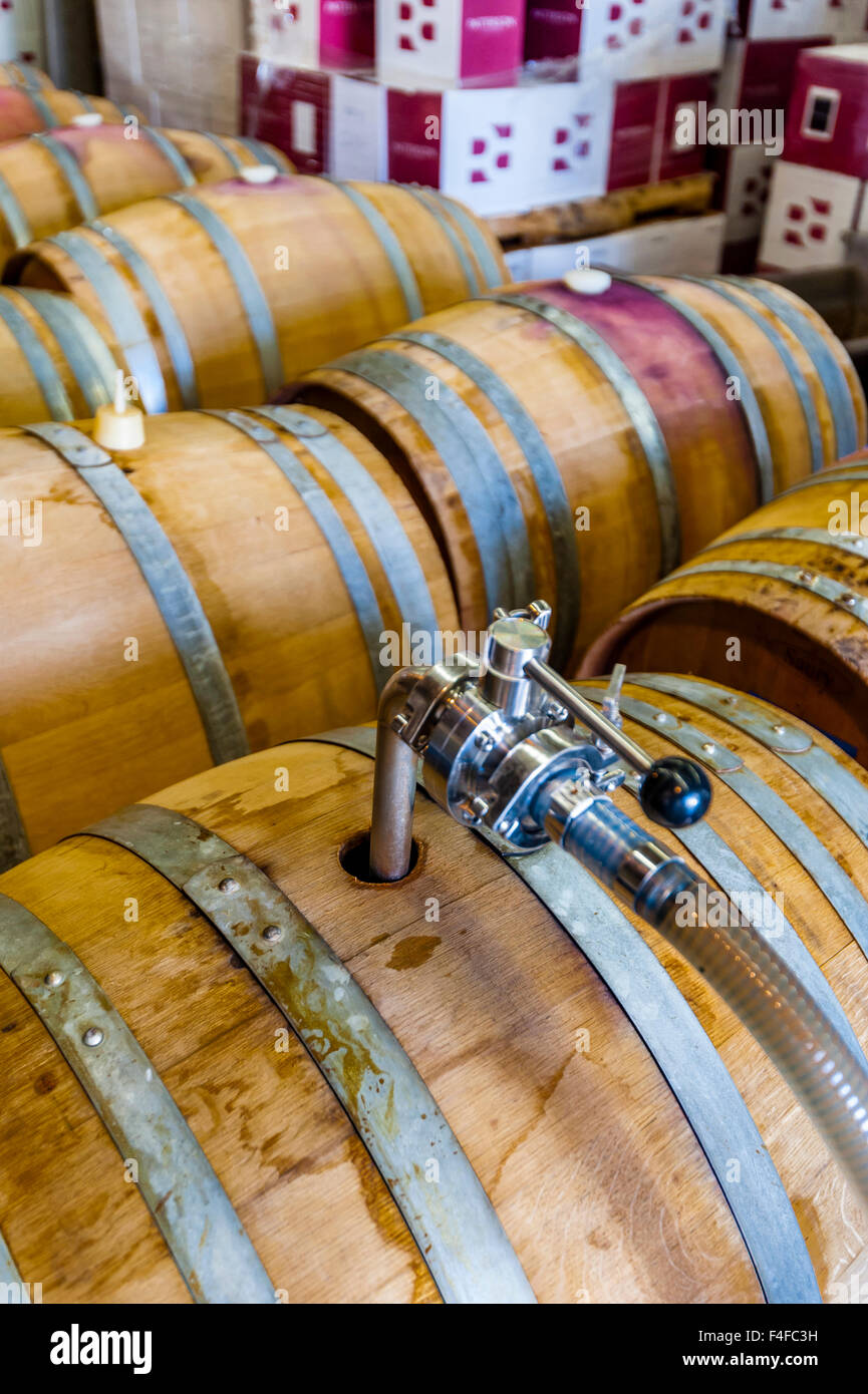 USA, Washington, Woodinville. Valve for pumping grape juice into wine ...