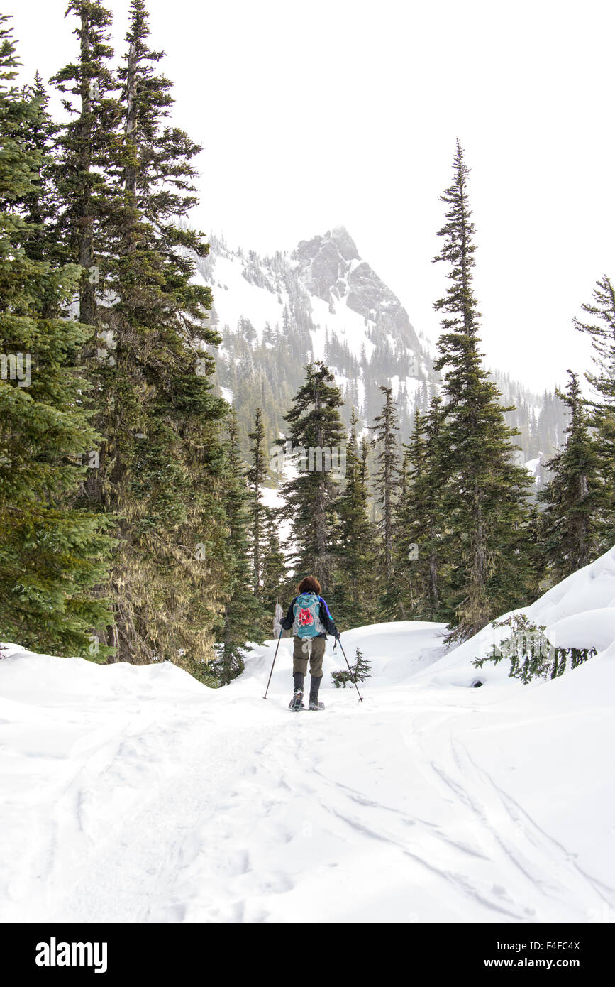 USA, Washington State, Olympic National Park. Steeple Rock trail in ...