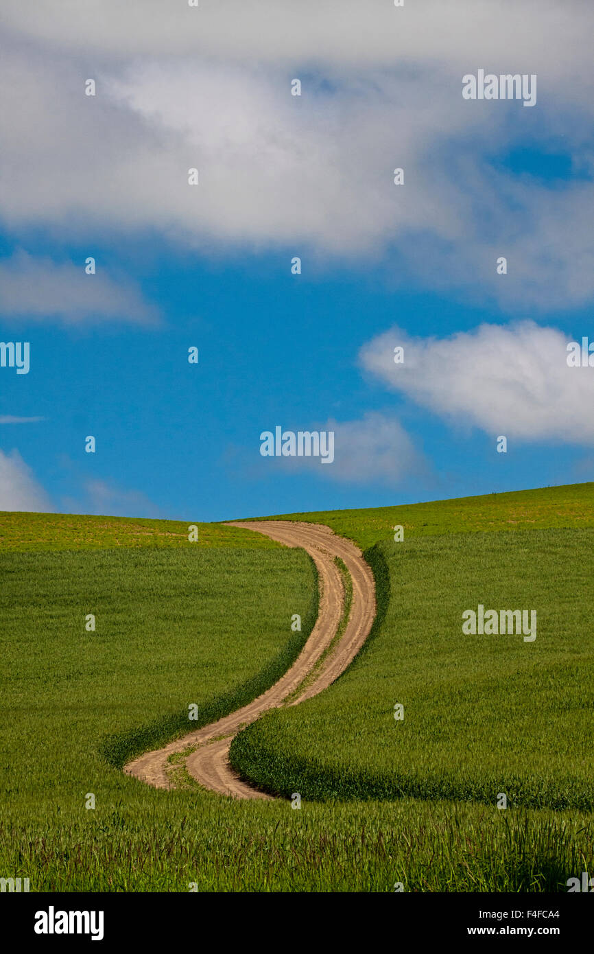 Back country road hi-res stock photography and images - Alamy