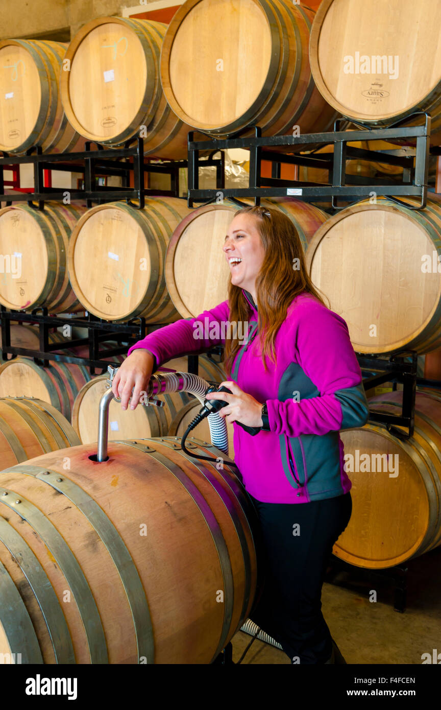 USA, Washington, Woodinville. Winery worker pump over the must during ...