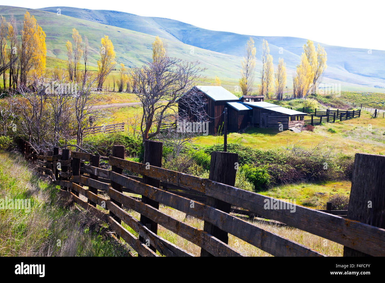 Dalles mountain ranch state hi-res stock photography and images - Alamy