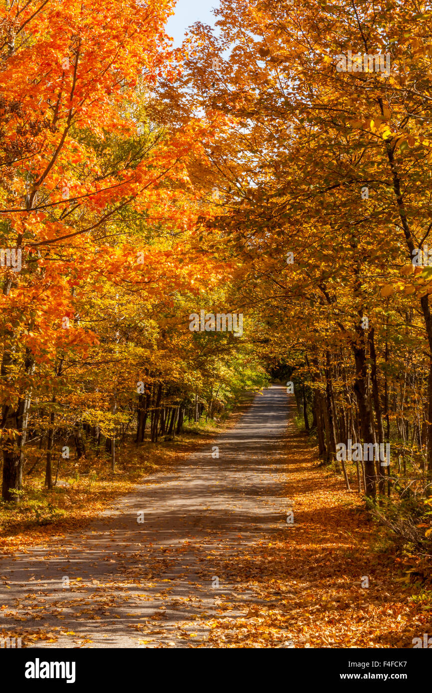 Door County Fall Colors Fall In Wisconsin | Things To Do In North