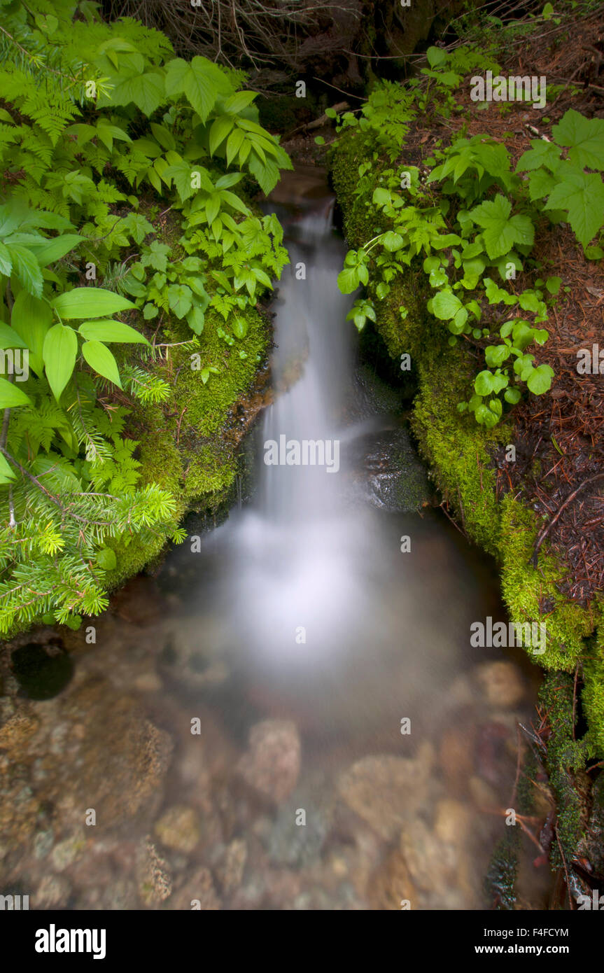 Mountaineer Creek near Lake Stuart, Alpine Lakes Wilderness, Okanogan ...