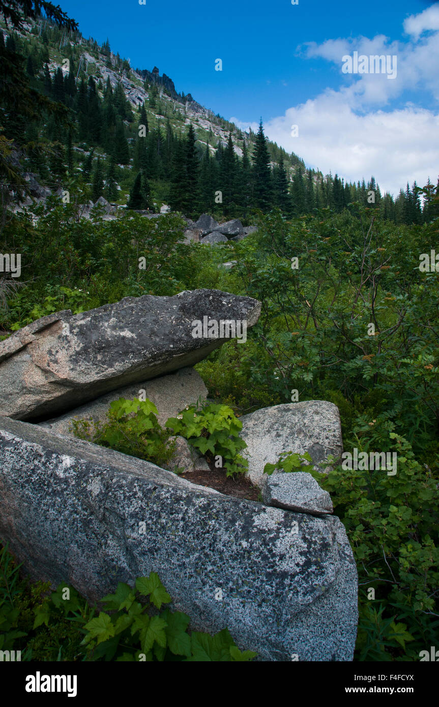 Near Lake Stuart, Alpine Lakes Wilderness, Okanogan-Wenatchee National ...