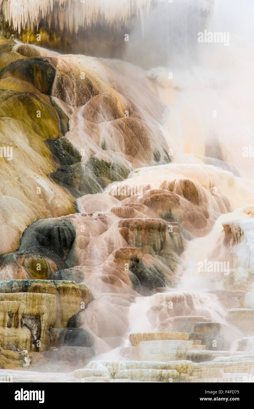 Palette Springs at Mammoth Terrace in Yellowstone National Park ...