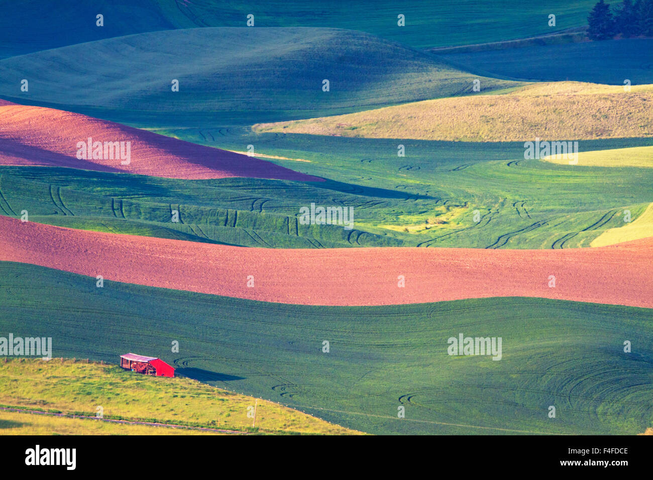 USA, Washington State, Palouse. Rolling hills covered by wheat fields ...