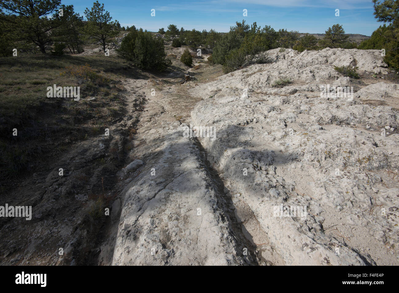 Wagon trail rut hi-res stock photography and images - Alamy