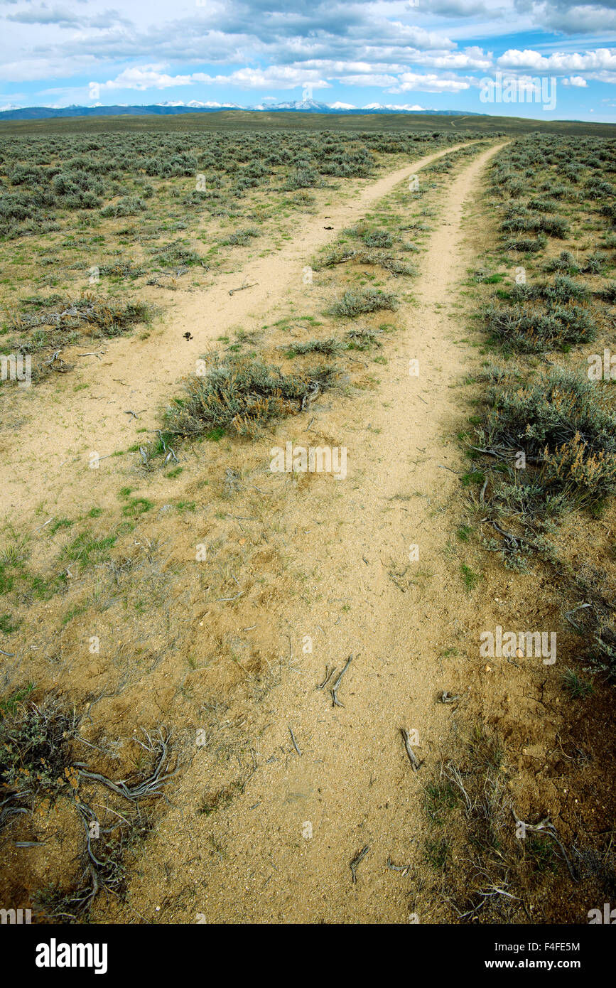 Oregon Trail In Wyoming