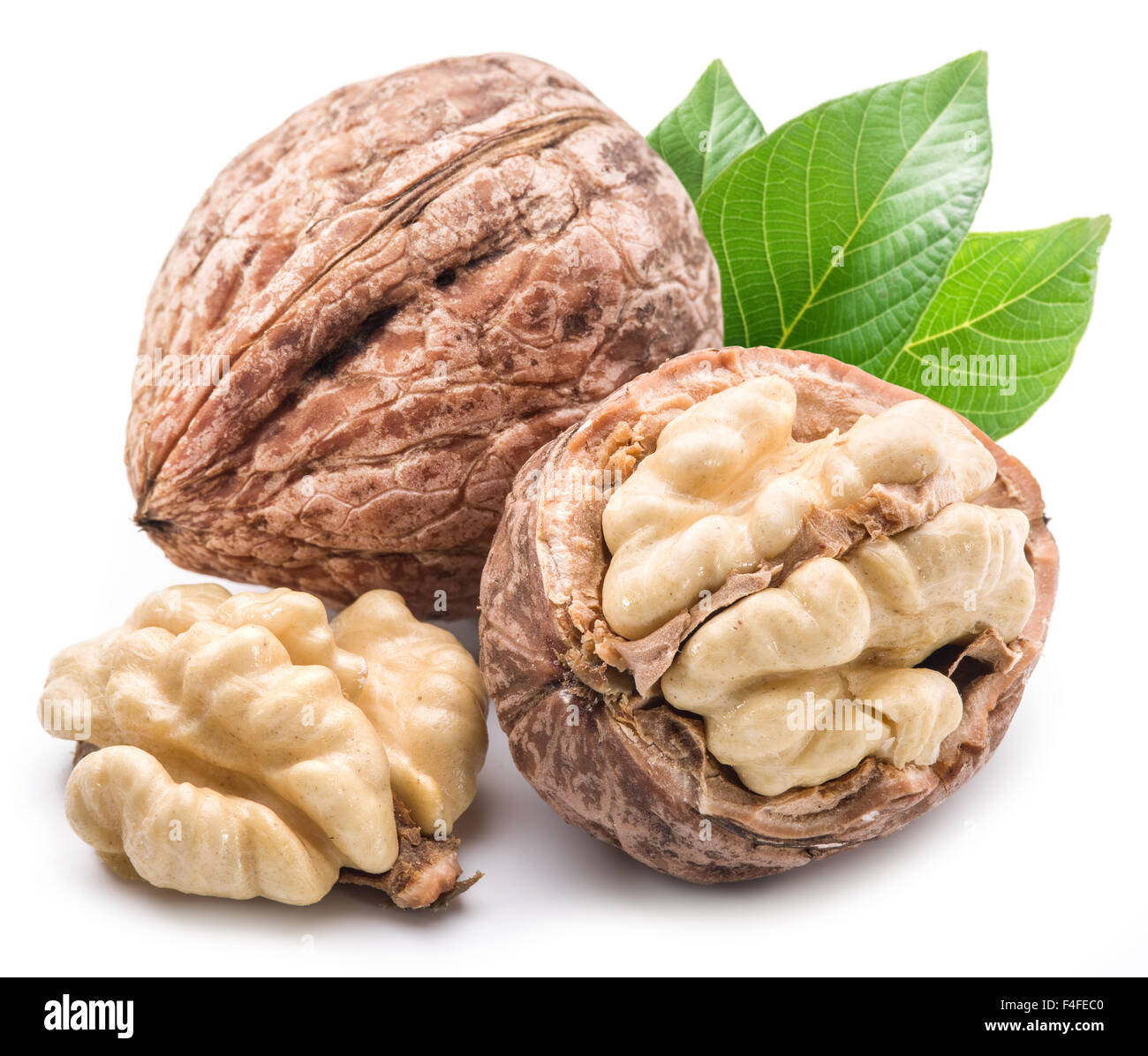 Walnut and walnut kernel isolated on the white background Stock Photo ...