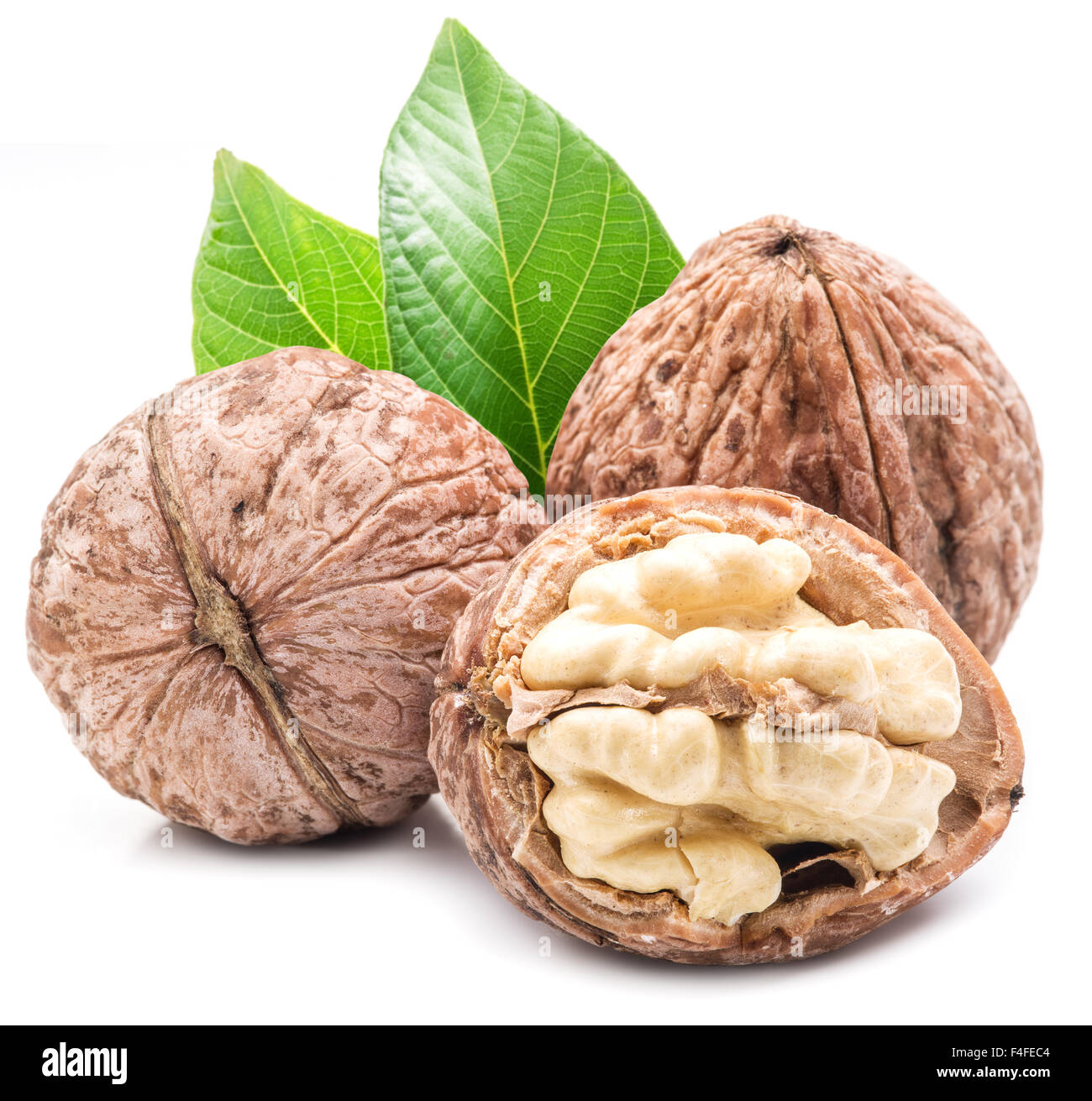 Walnut and walnut kernel isolated on the white background Stock Photo ...