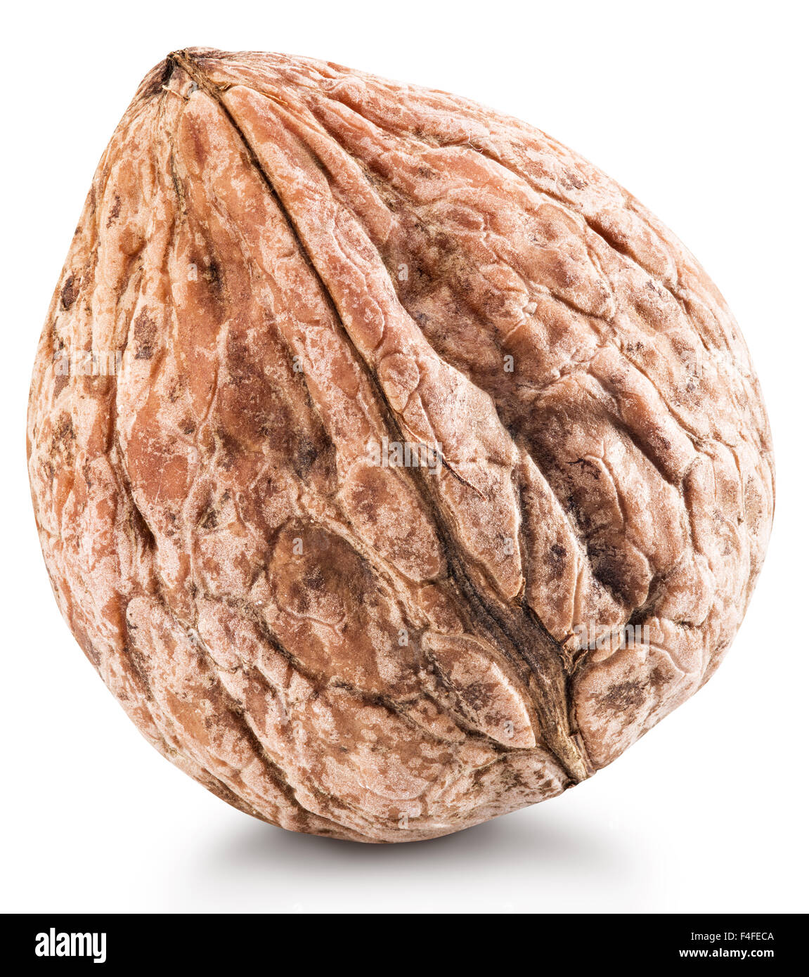 One Walnut