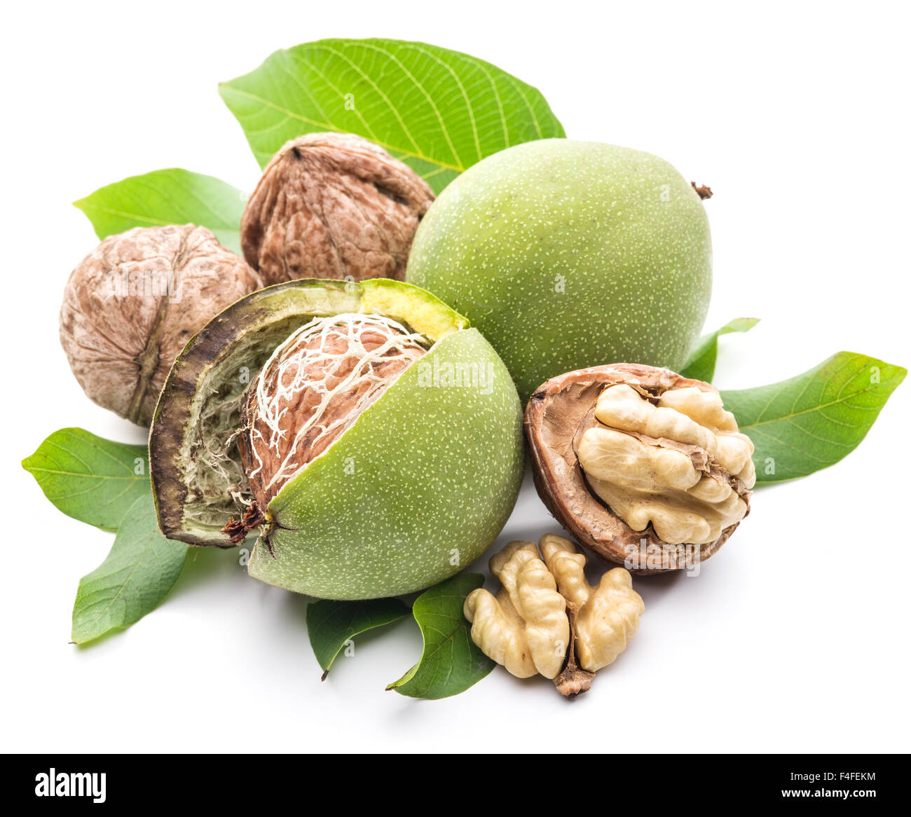 Walnut and walnut kernel isolated on the white background Stock Photo ...