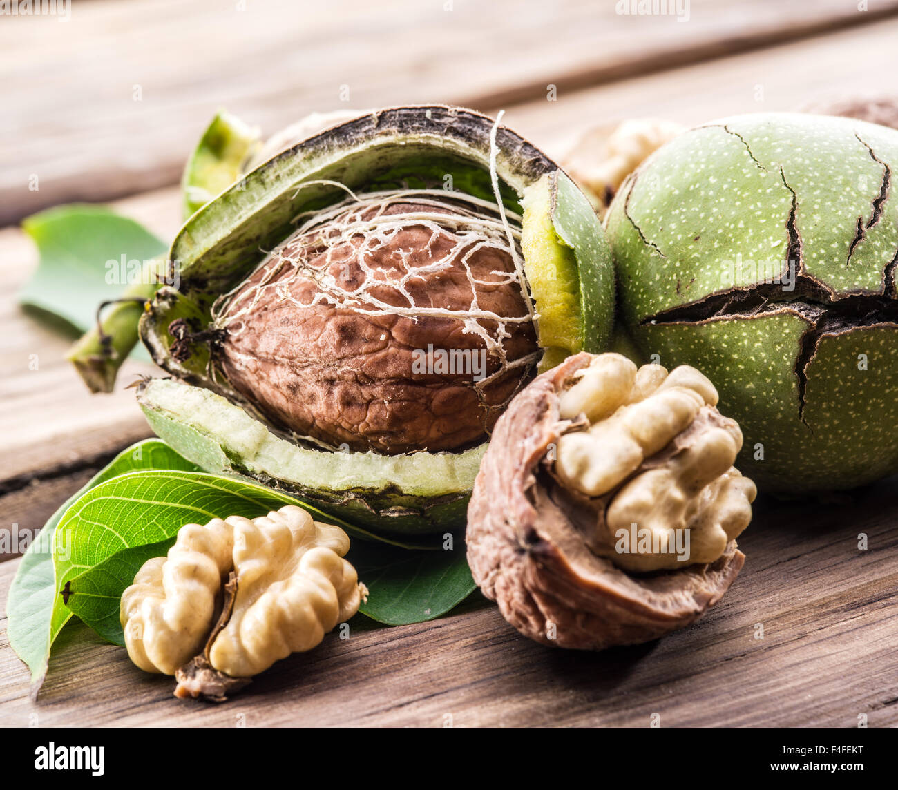 Walnut kernel hi-res stock photography and images - Alamy