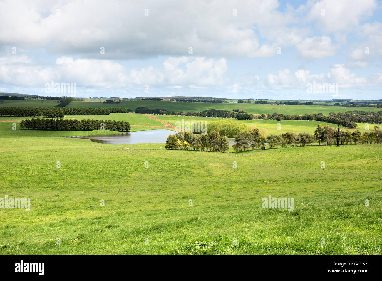 Lush pasture in farmland, Southern Victoria, Australia Stock Photo - Alamy