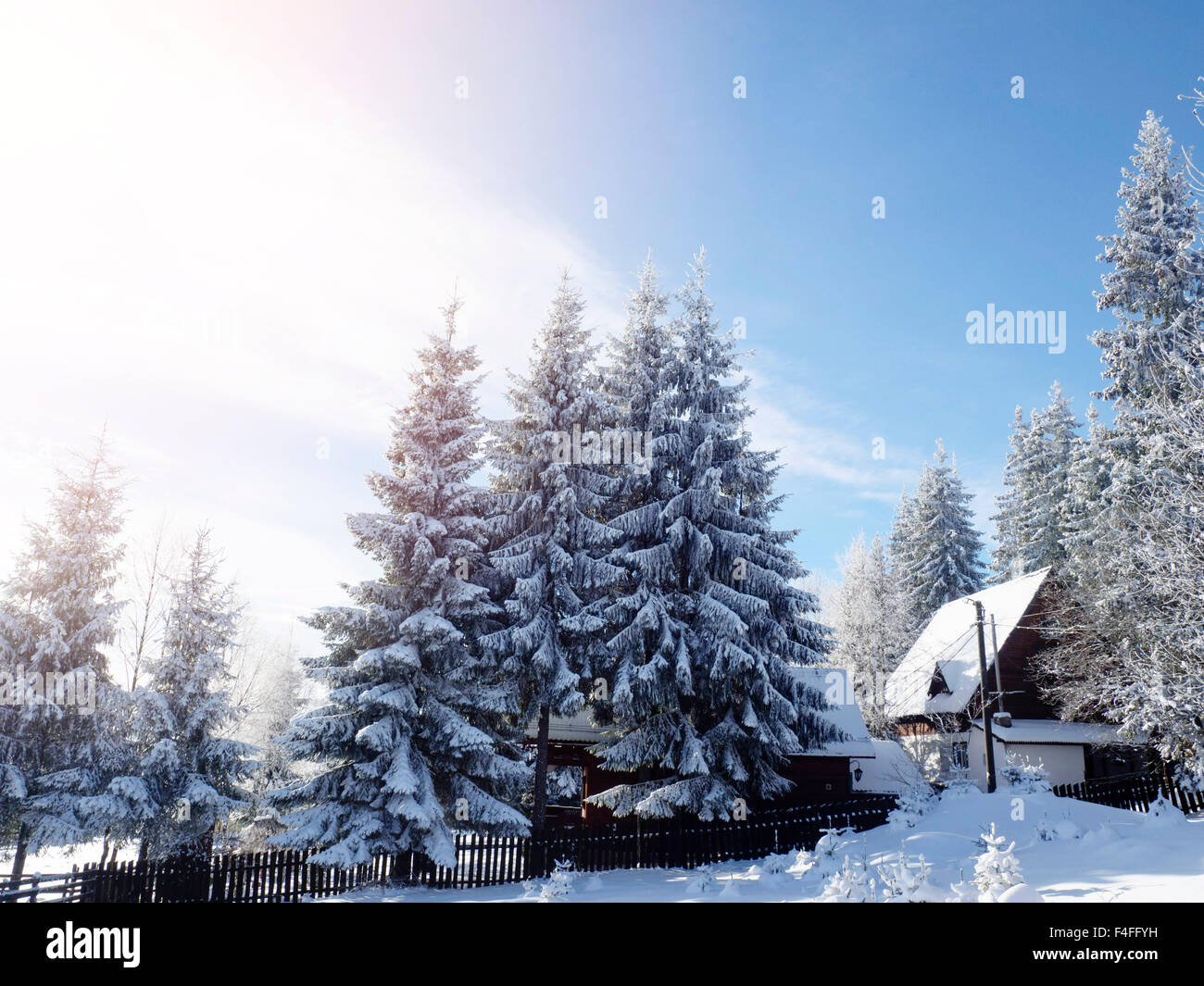 New forest cottage winter hi-res stock photography and images - Alamy