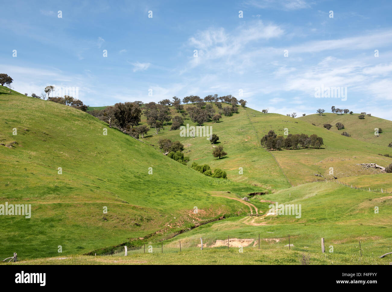 Hill with grass hi-res stock photography and images - Alamy