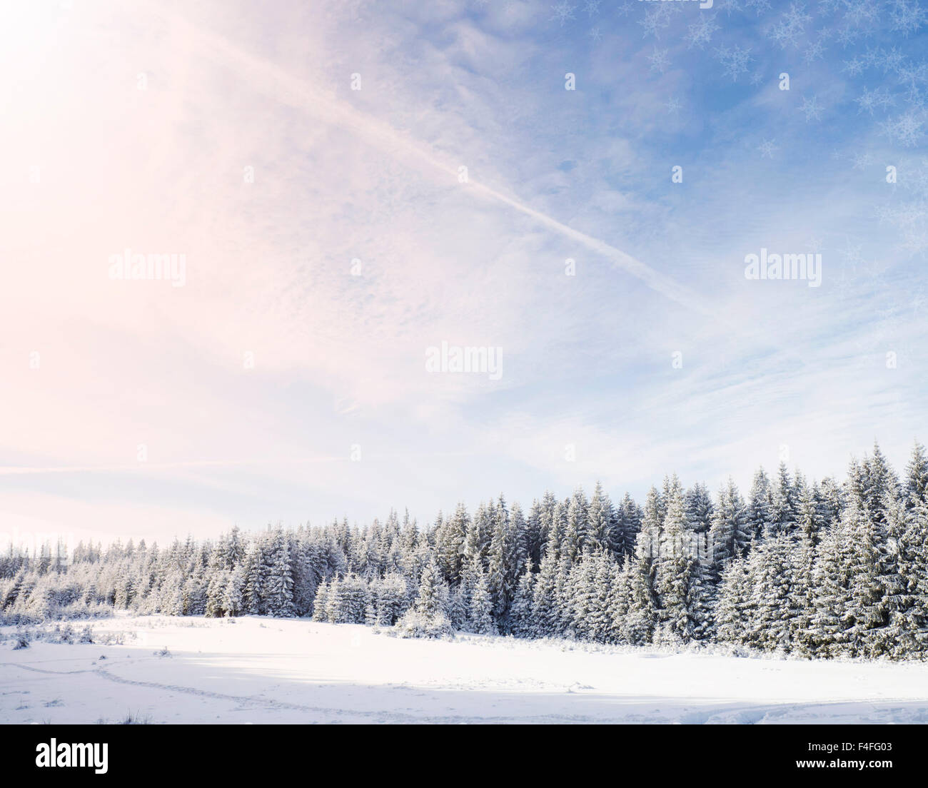 Wonderful winter scene hi-res stock photography and images - Alamy